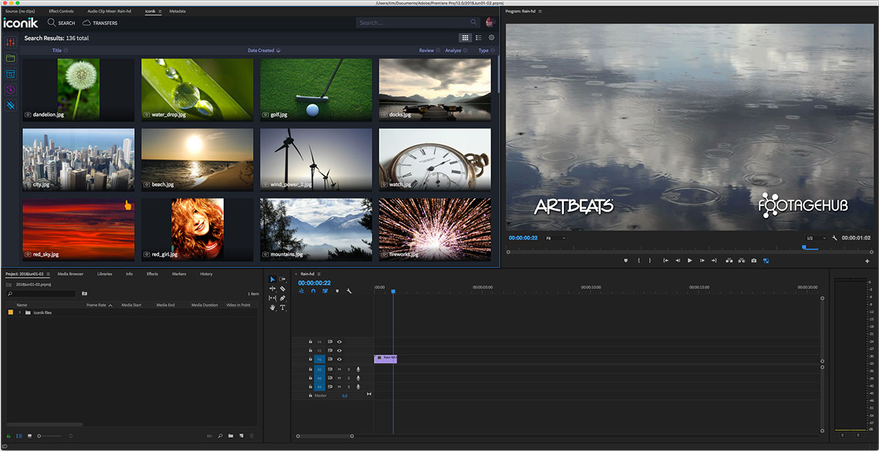 First Steps with the Adobe Panel – iconik