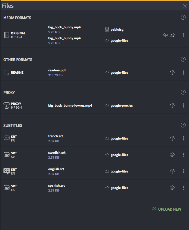 Files and Formats Overview – iconik