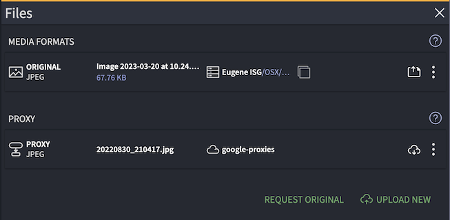 Asset Formats Transfer – iconik