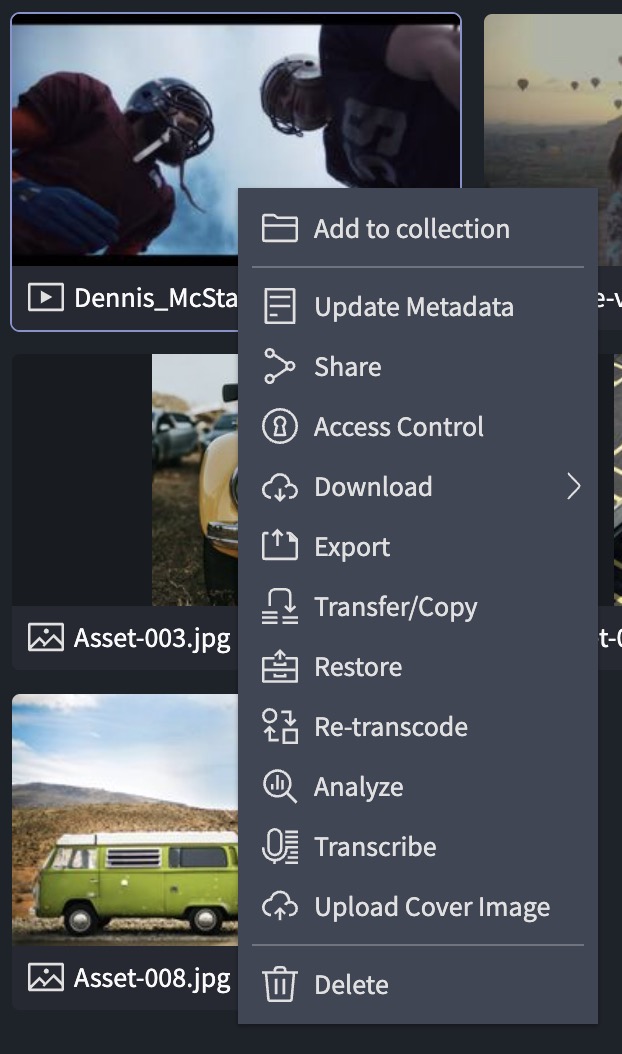 Search Results – iconik