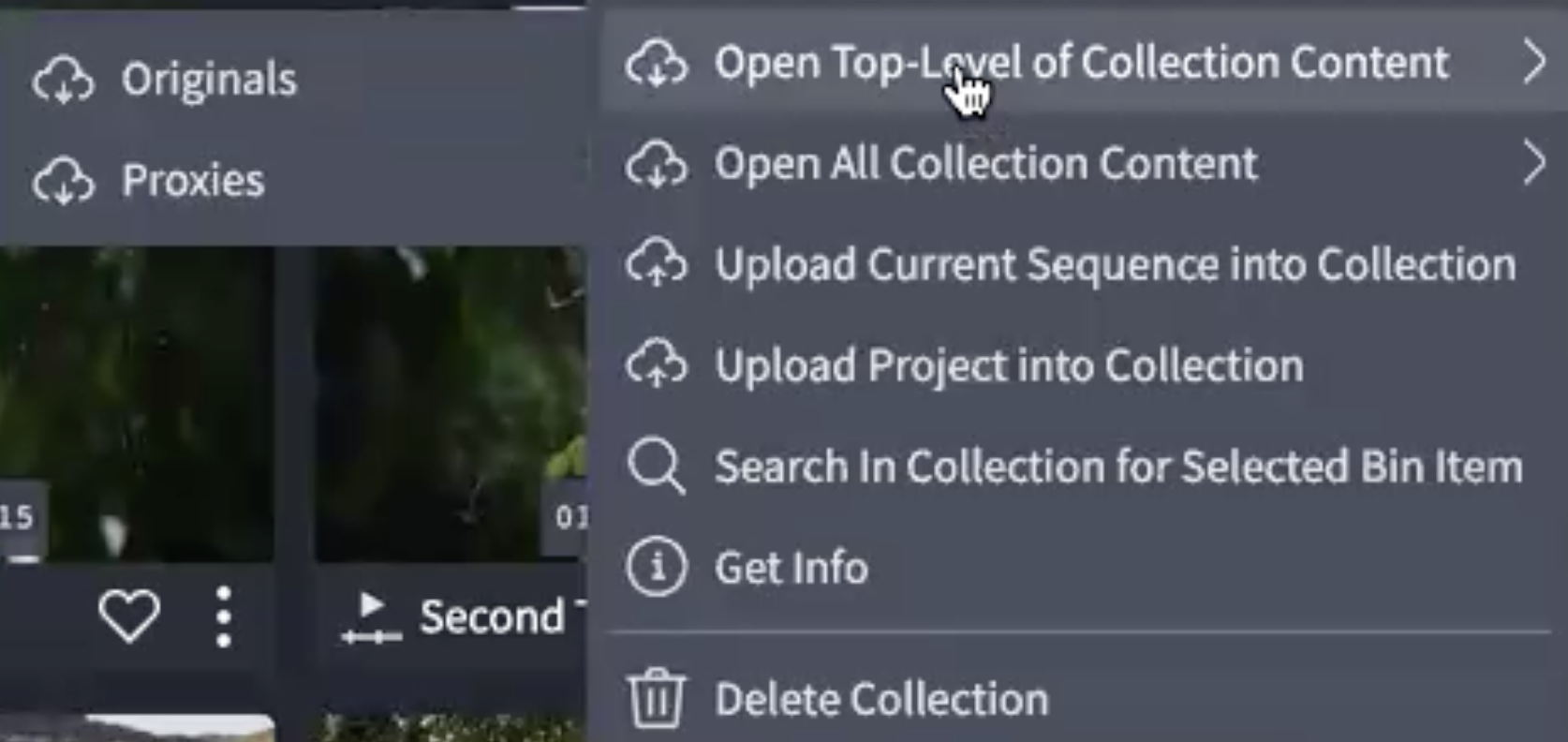 Download and Opening Subclips – iconik